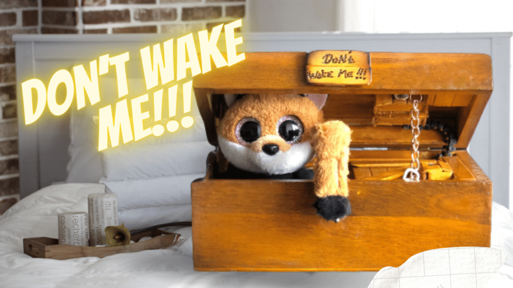 DON'T TOUCH!!! OCTOPUS TREASURE GUARDIAN INSIDE!!! : ROBOTSZU